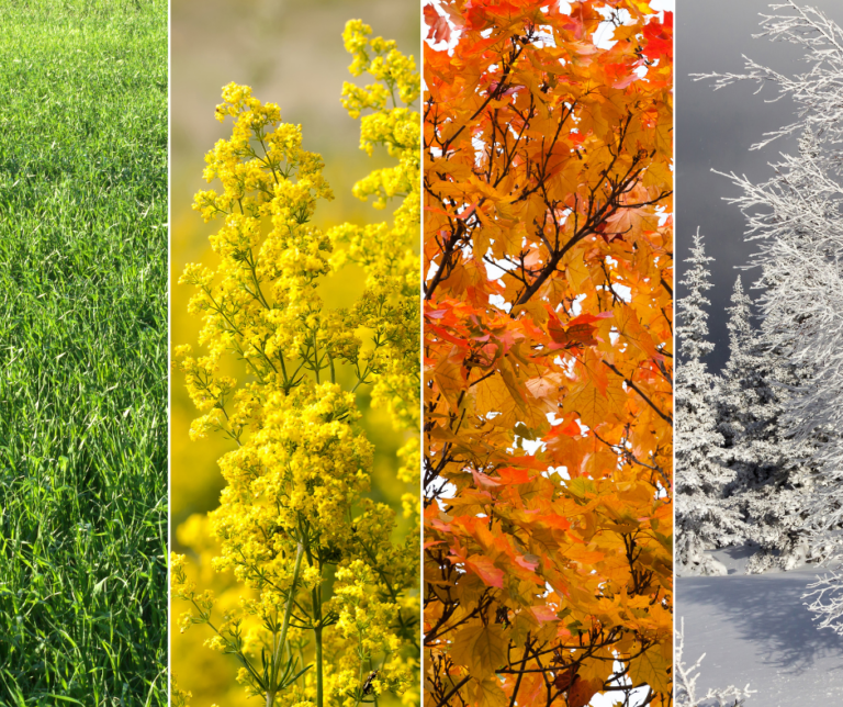 Imagination Station Science & History Museum