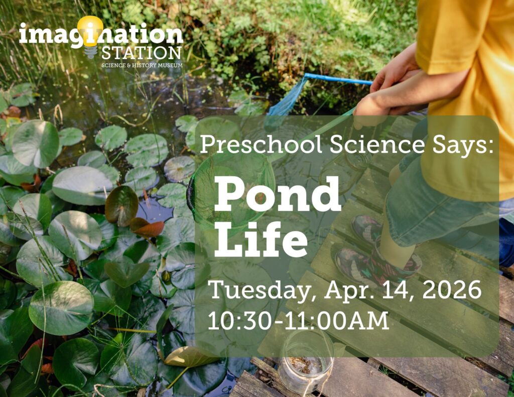 Preschool Science Says: Pond Life | Imagination Station