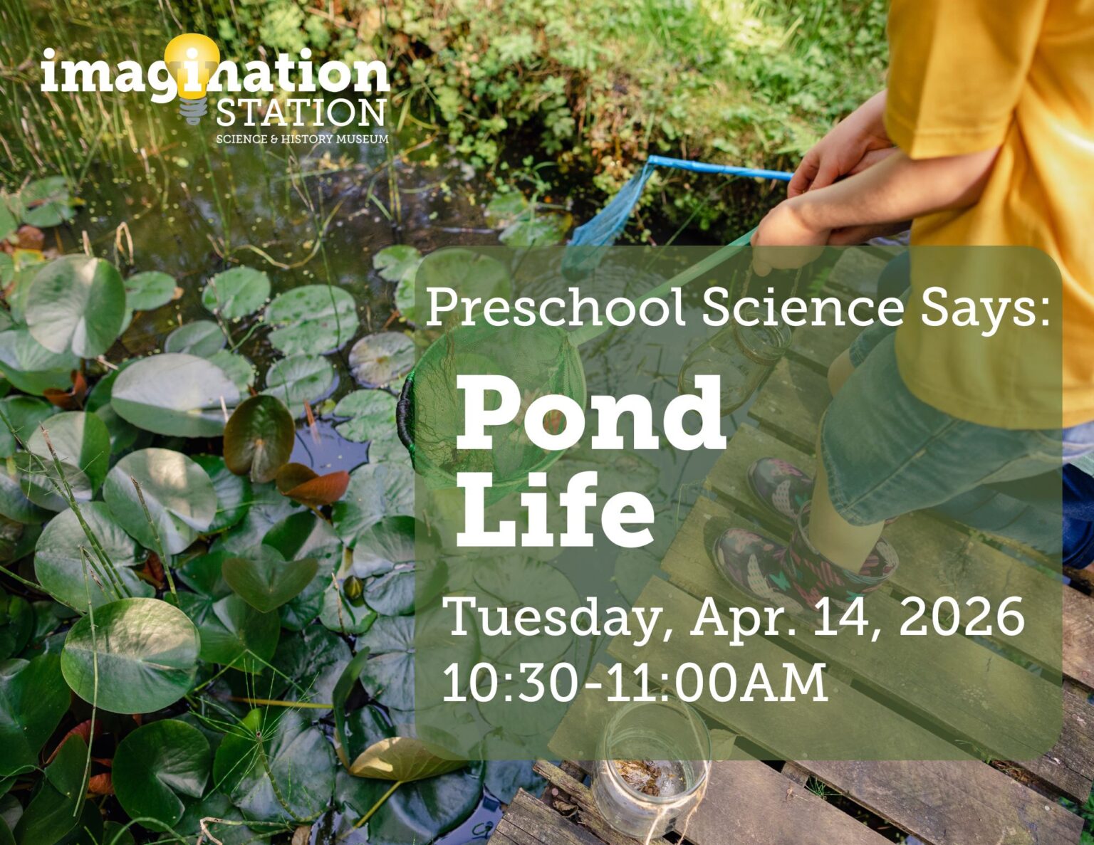 Preschool Science: Pond Life | Imagination Station